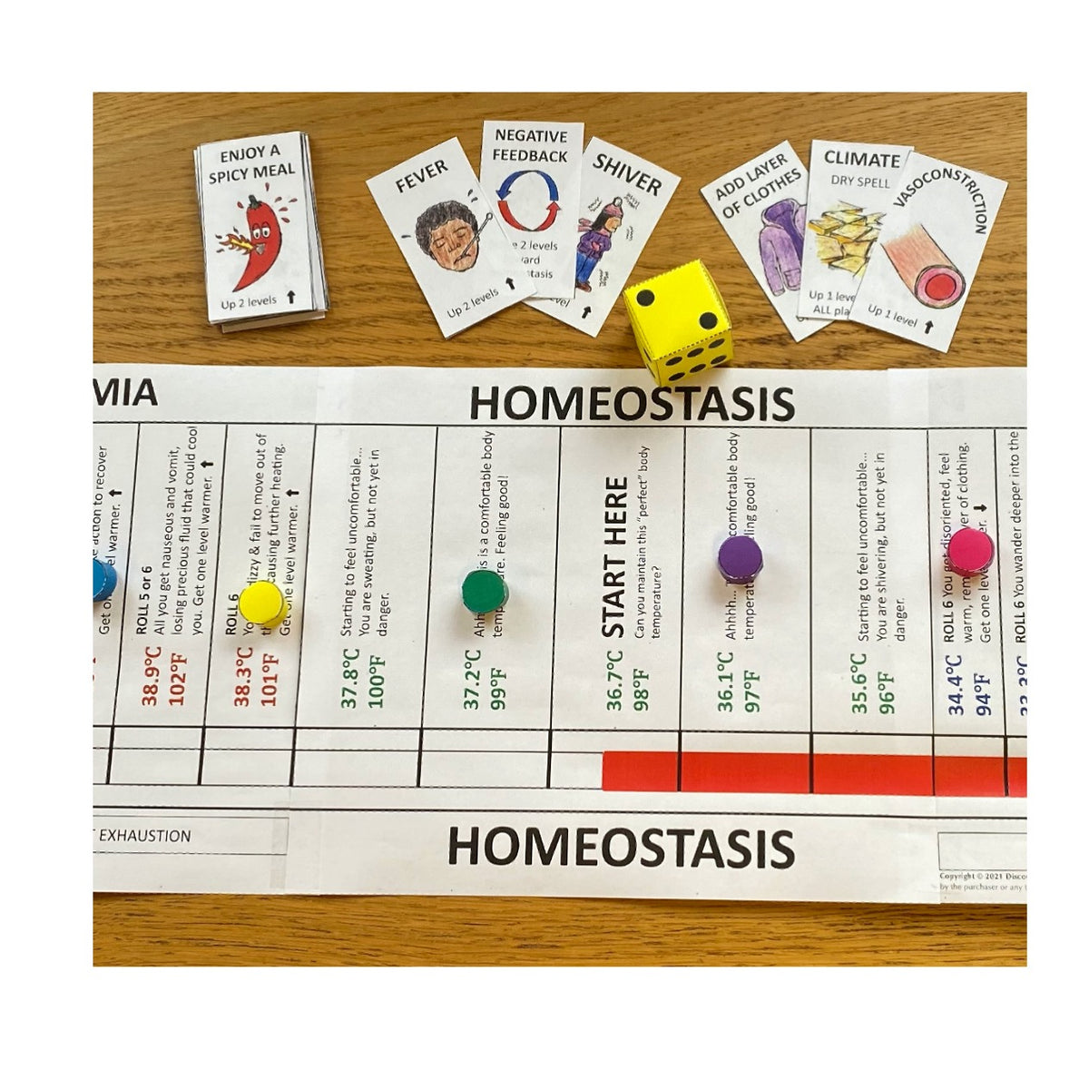 Teach homeostasis with our game Thermia! – Origami Organelles