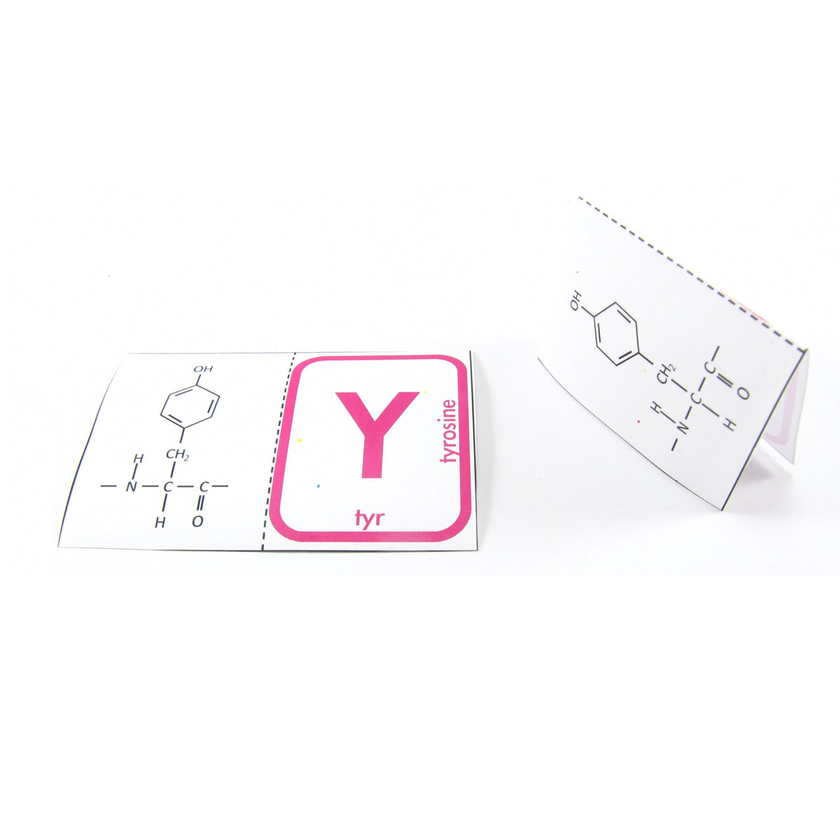 Amino Acids Cheat Origami Organelles Amino Acids Cheat Origami Organelles