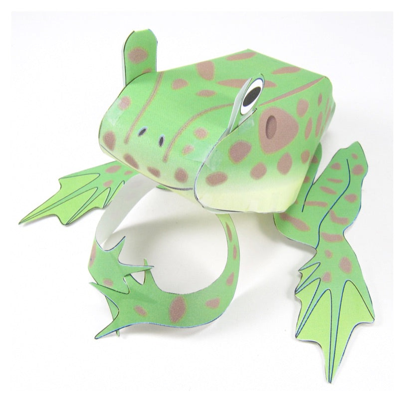 Frog Life Cycle – Origami Organelles