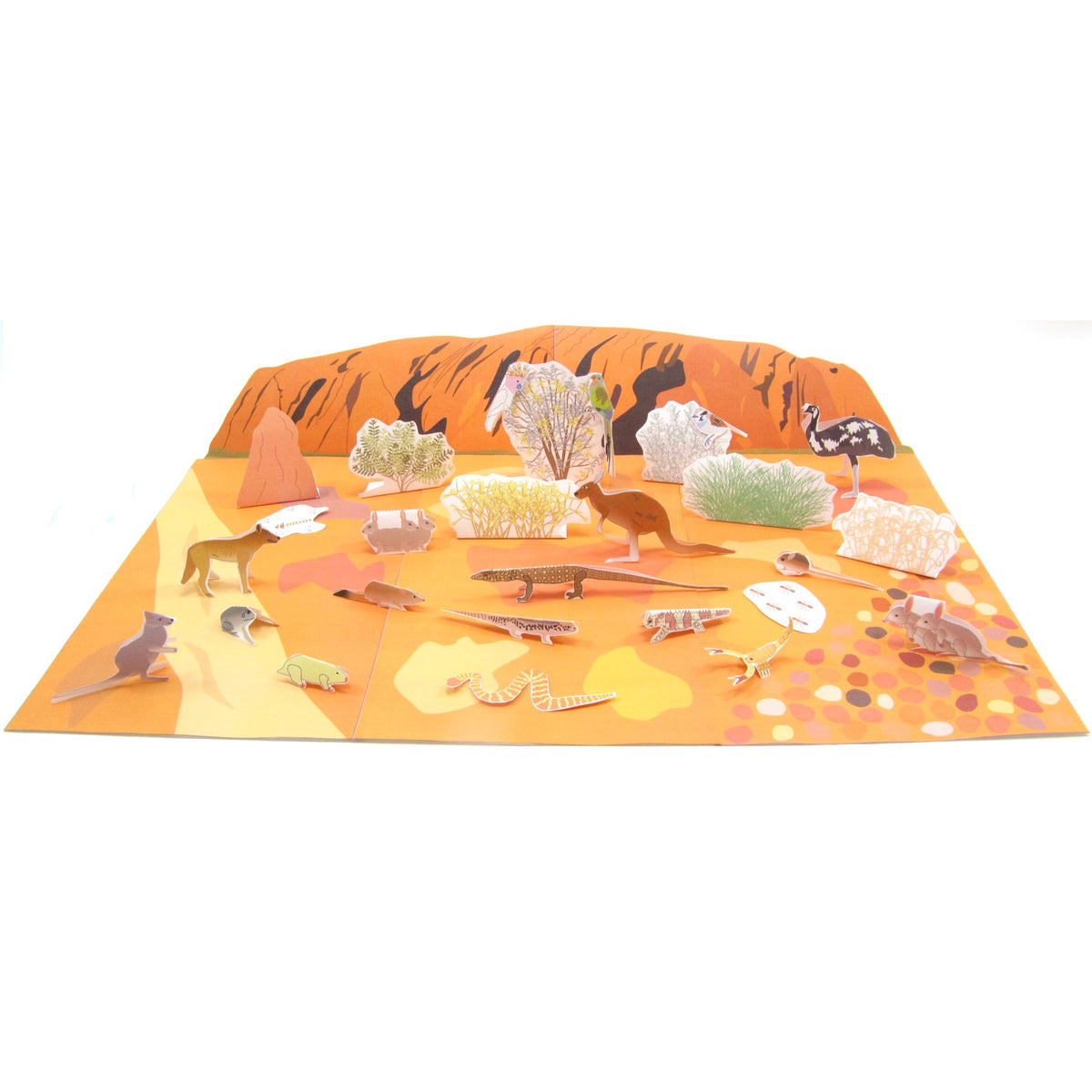 Teach Australia's unique desert ecosystem with our new model! – Origami ...