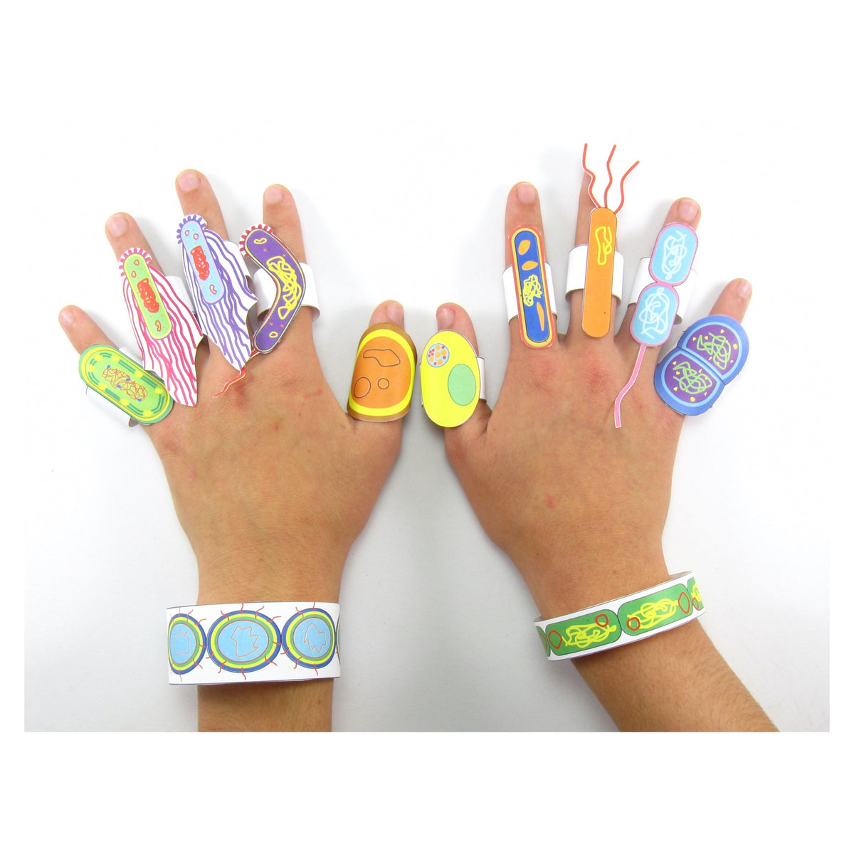 Bring bacteria to life with our paper bacteria rings! – Origami Organelles