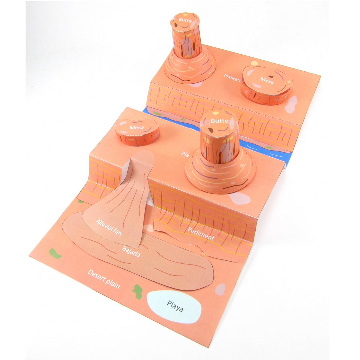 Check out our new model about desert landforms. – Origami Organelles