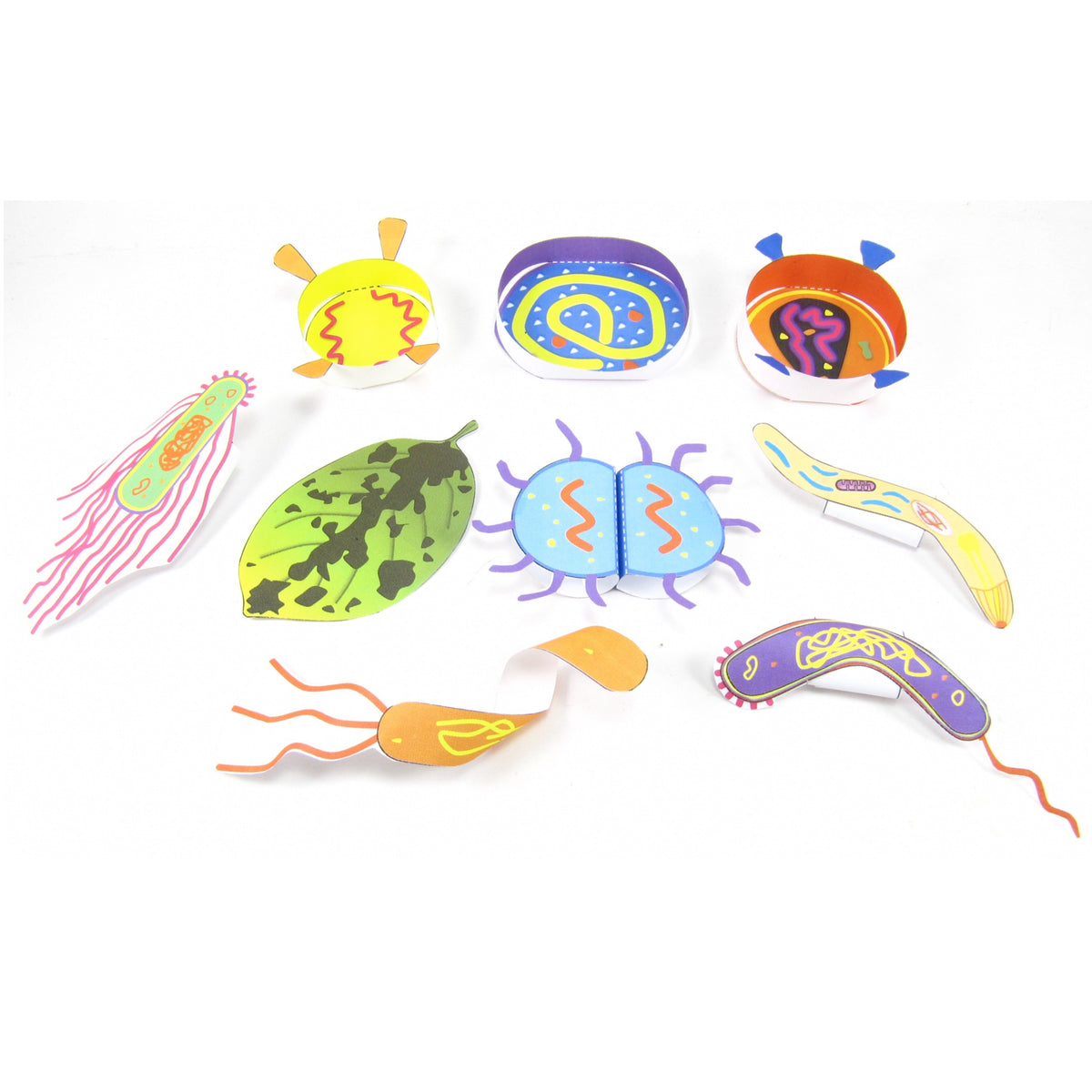 Microbiology – Origami Organelles