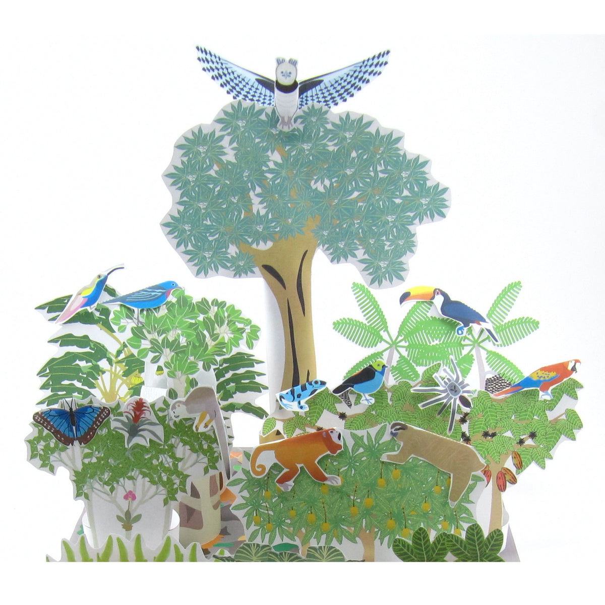 Amazon Rainforest Ecosystem – Origami Organelles