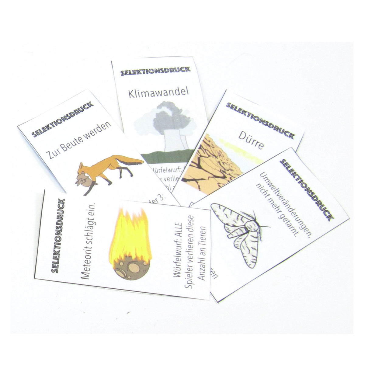 Evolve Deutsch – Origami Organelles