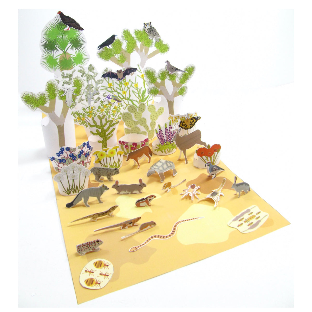 Joshua Tree Desert Ecosystem – Origami Organelles