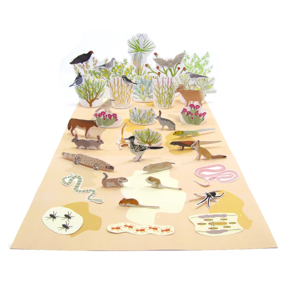 Mojave Desert Ecosystem – Origami Organelles