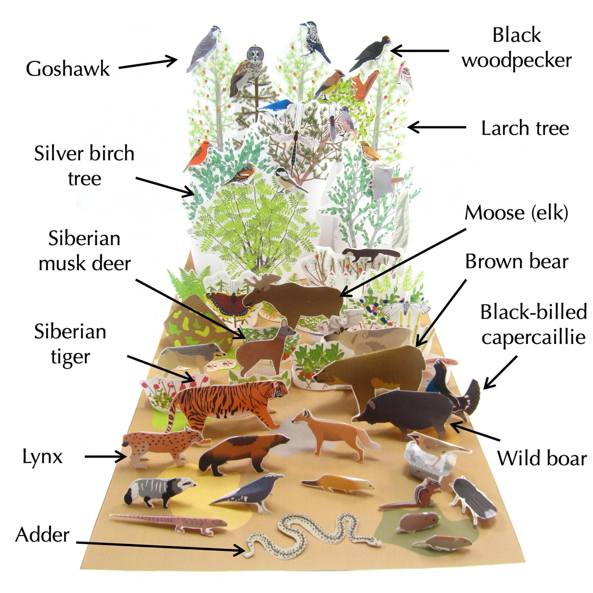Siberian Taiga Ecosystem – Origami Organelles