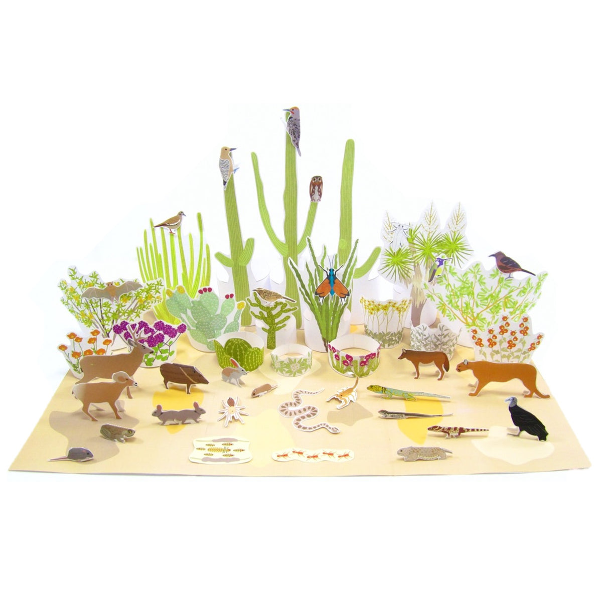Sonoran Desert Ecosystem – Origami Organelles