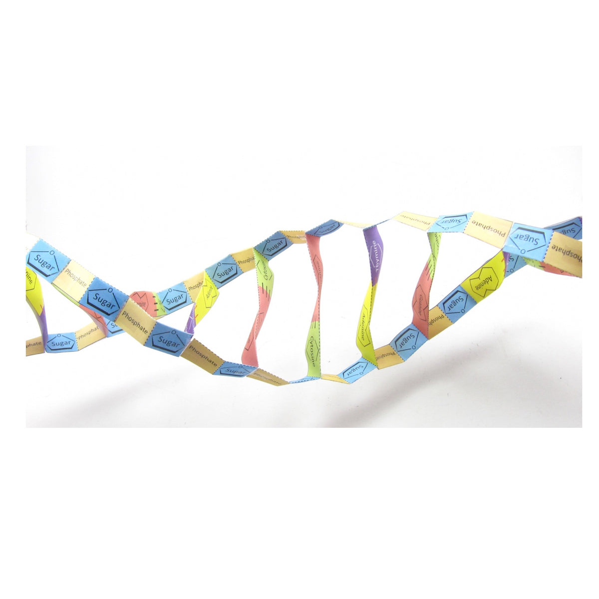 DNA Structure – Origami Organelles