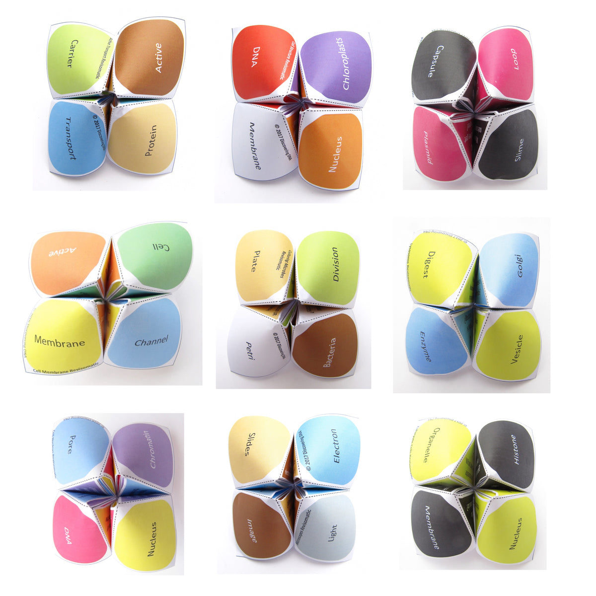 Cell Structure Revisomatics – Origami Organelles