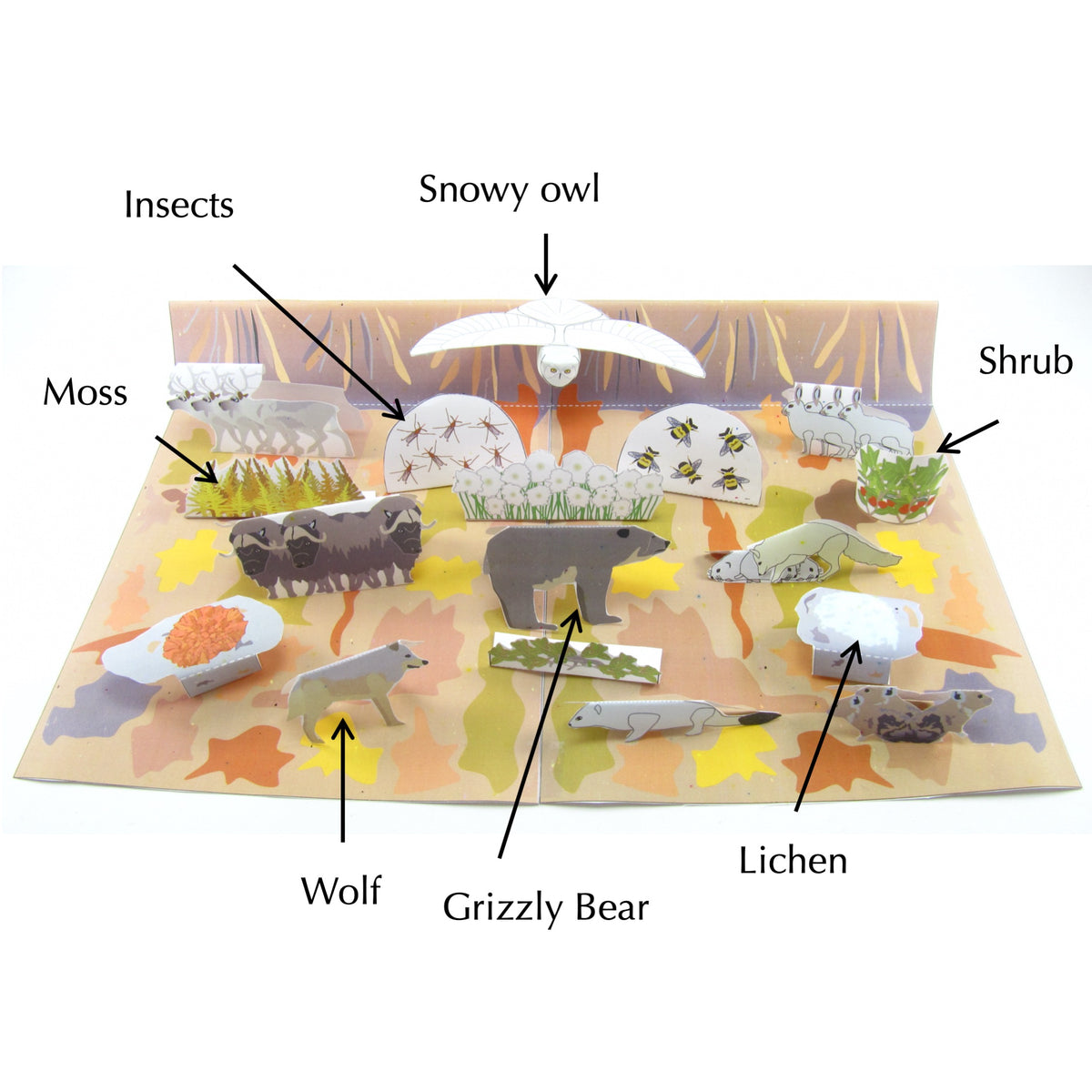 Tundra Ecosystem – Origami Organelles