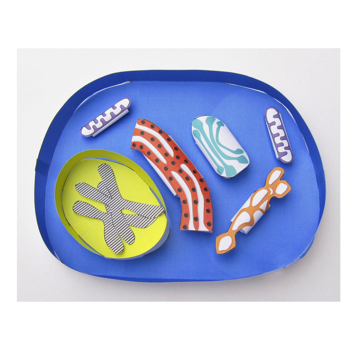 Simple Animal Cell – Origami Organelles