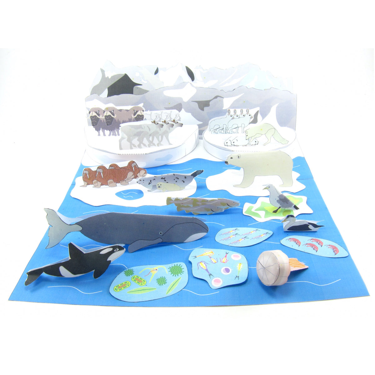 Arctic Ecosystem – Origami Organelles
