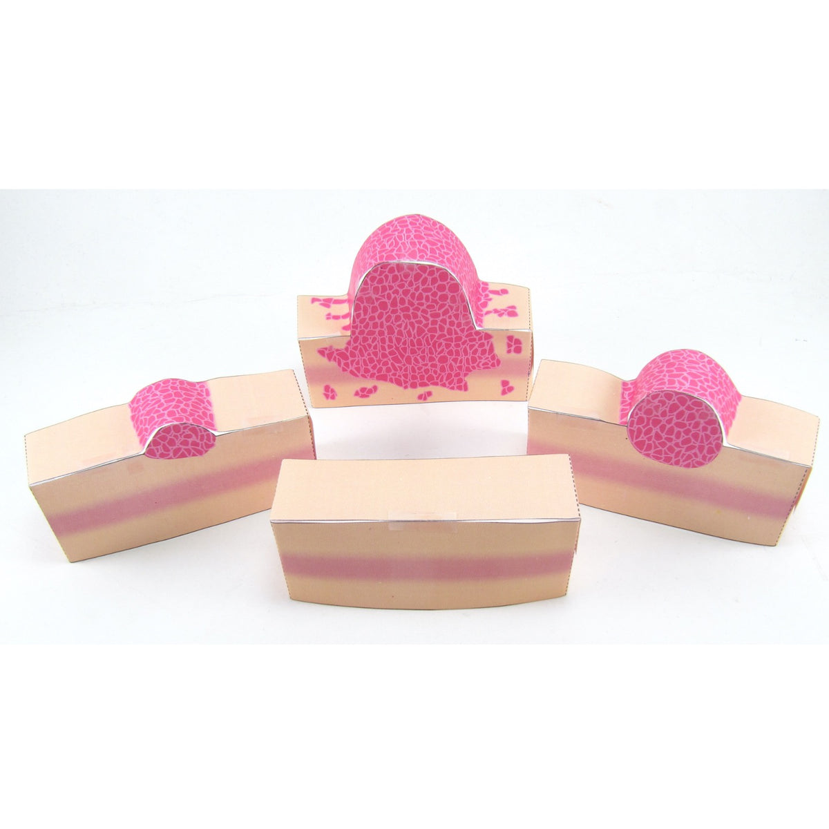 Cancer – Origami Organelles