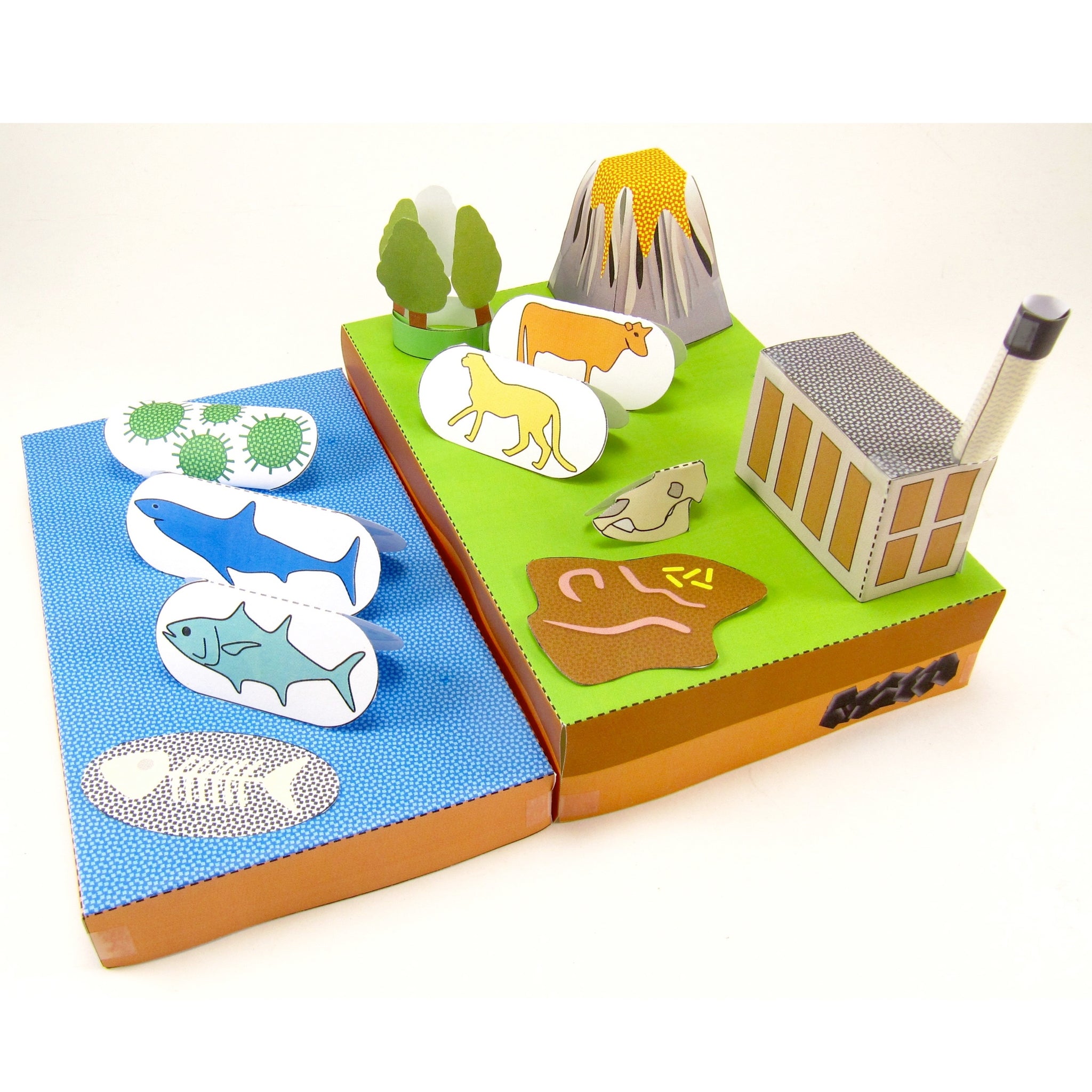 easy simple carbon cycle