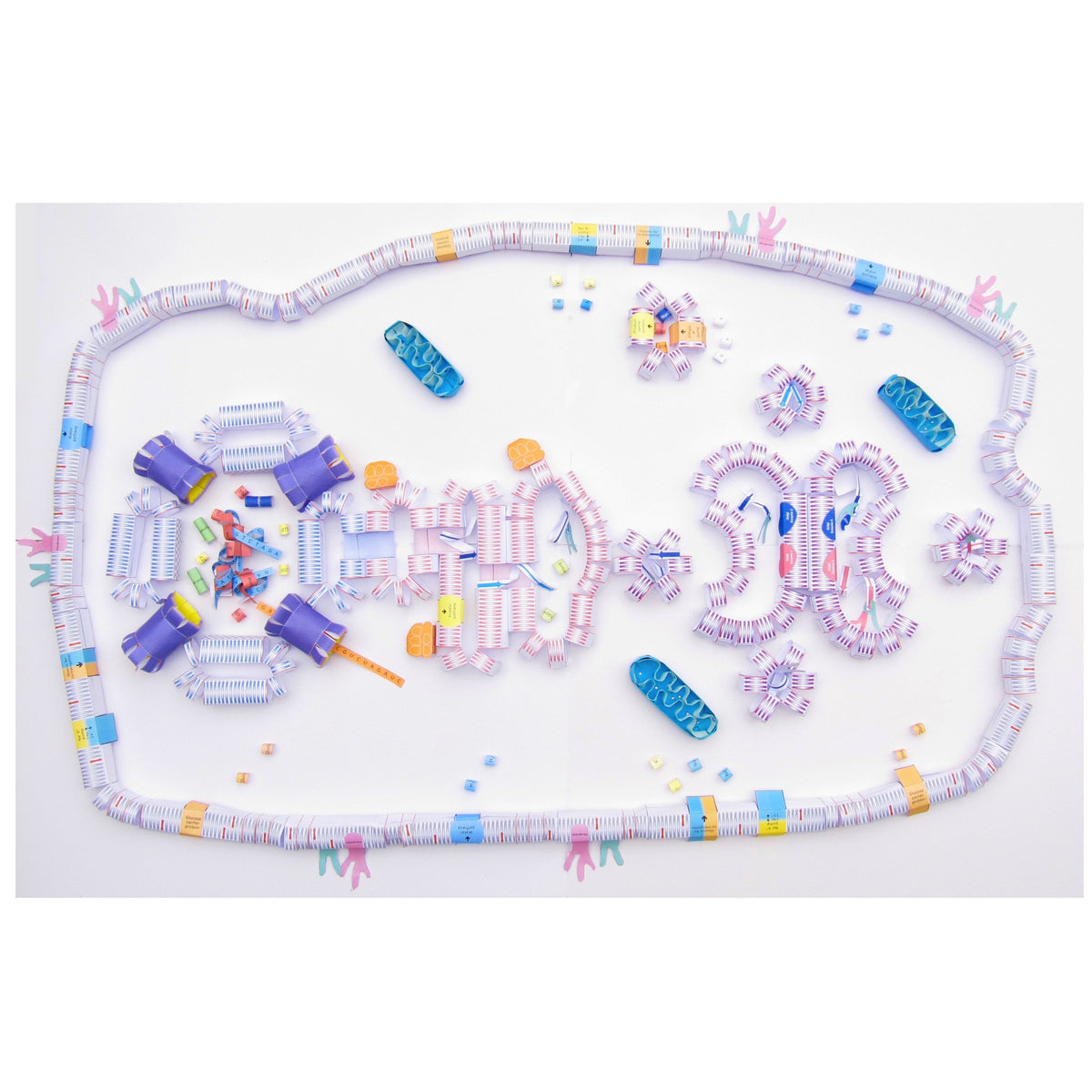 Origami Cell Bundle – Origami Organelles