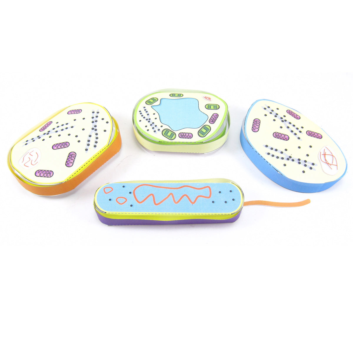 Cell Structure – Origami Organelles