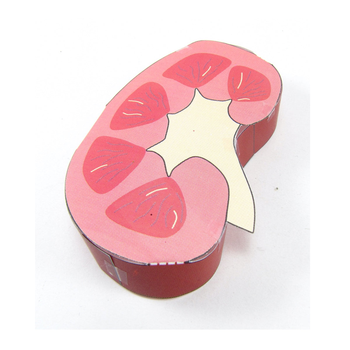 Controlling Water Content – Origami Organelles