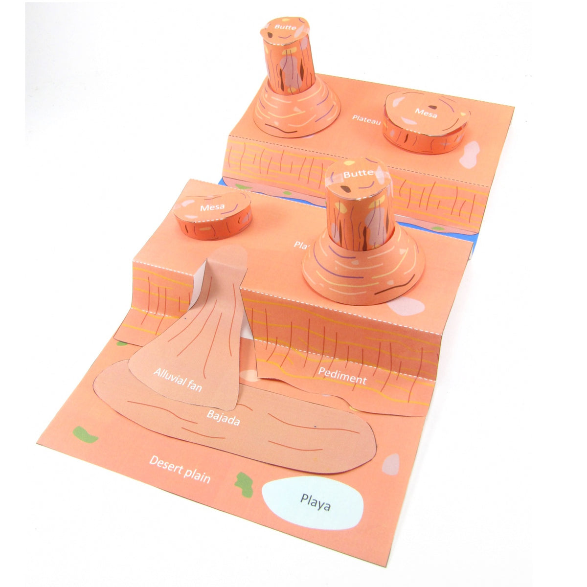 Desert Landforms – Origami Organelles