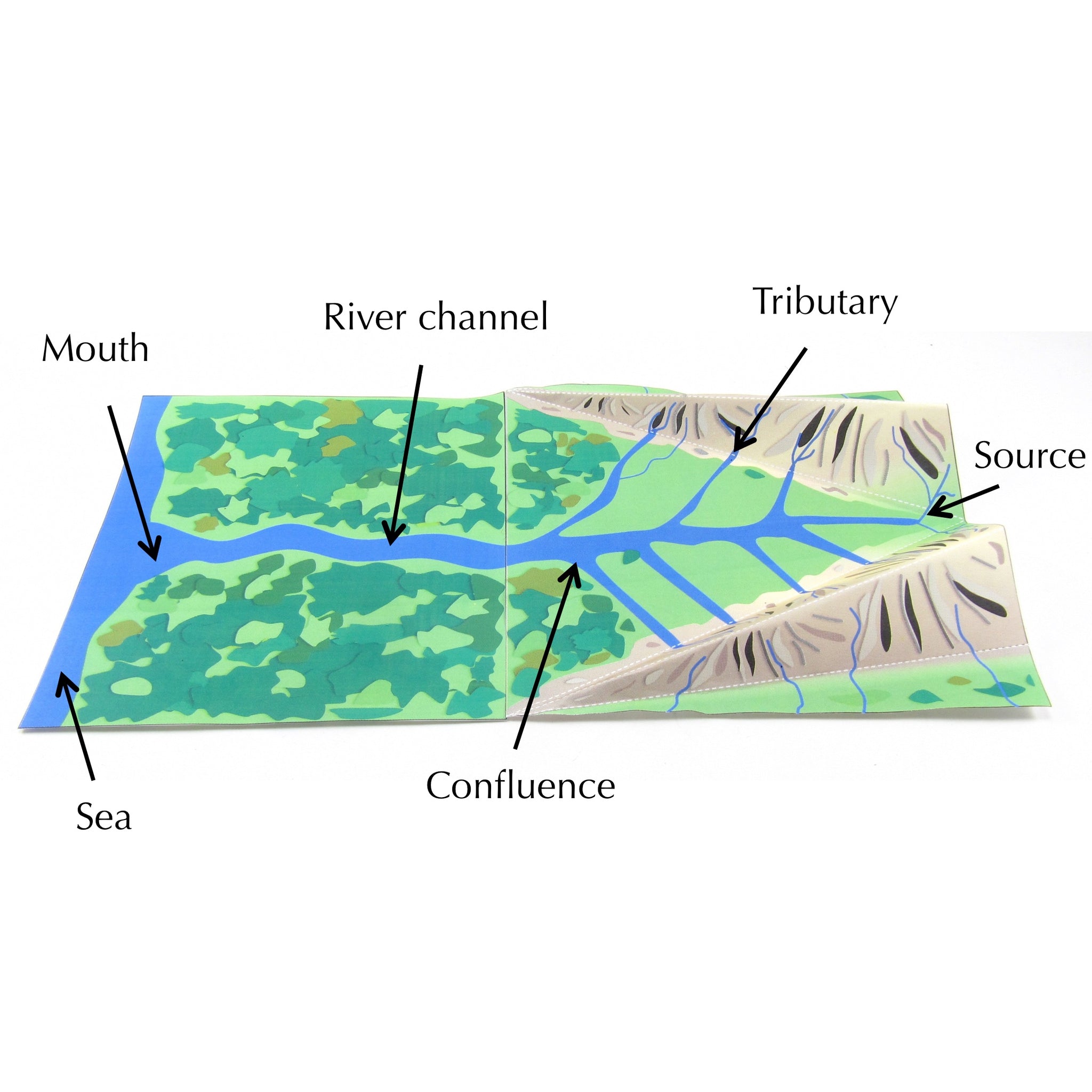 River Tributary Diagram
