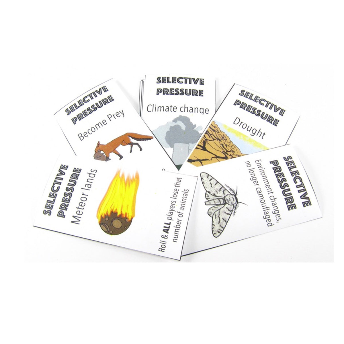 Evolve – Origami Organelles