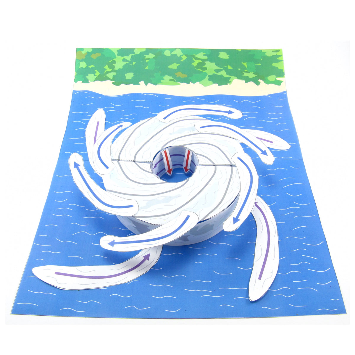 Hurricanes – Origami Organelles