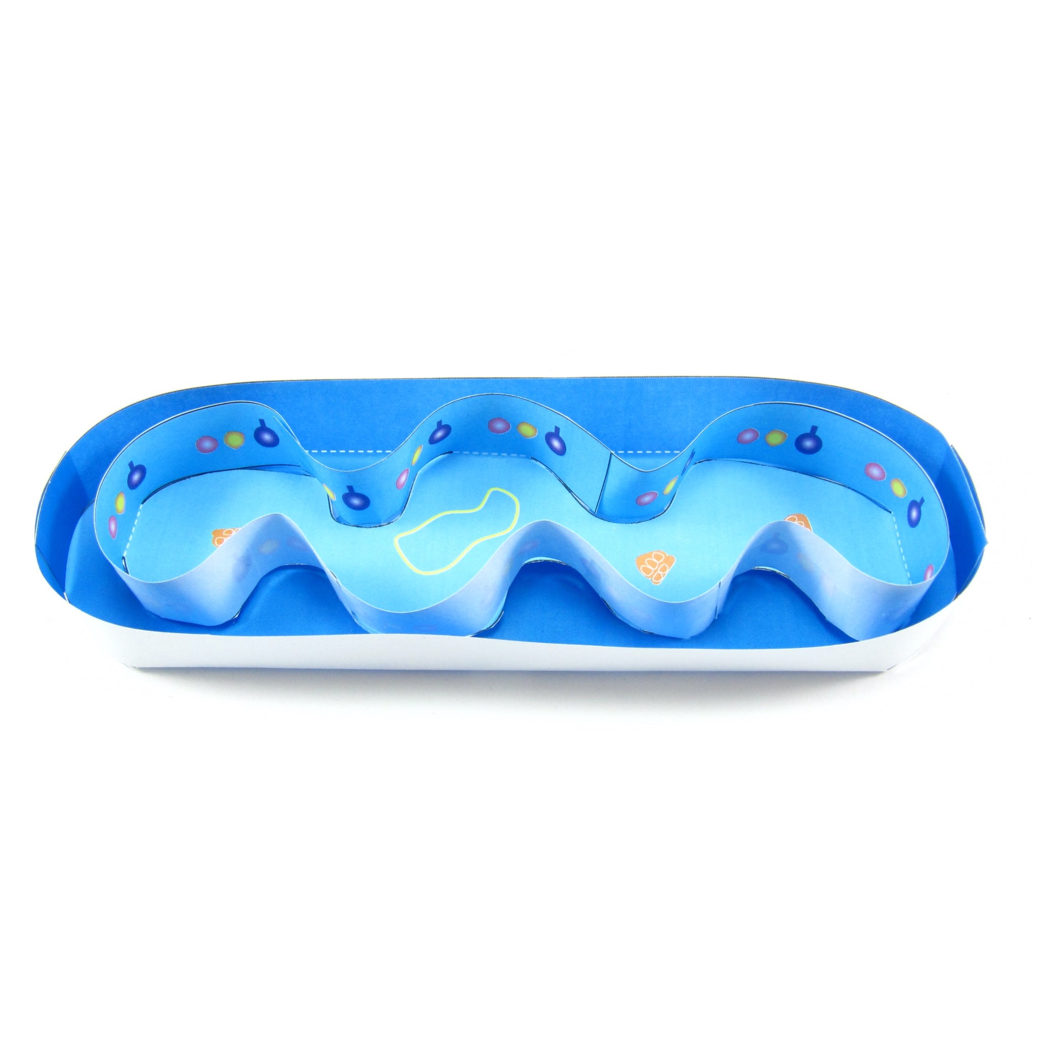 Mitochondria Model