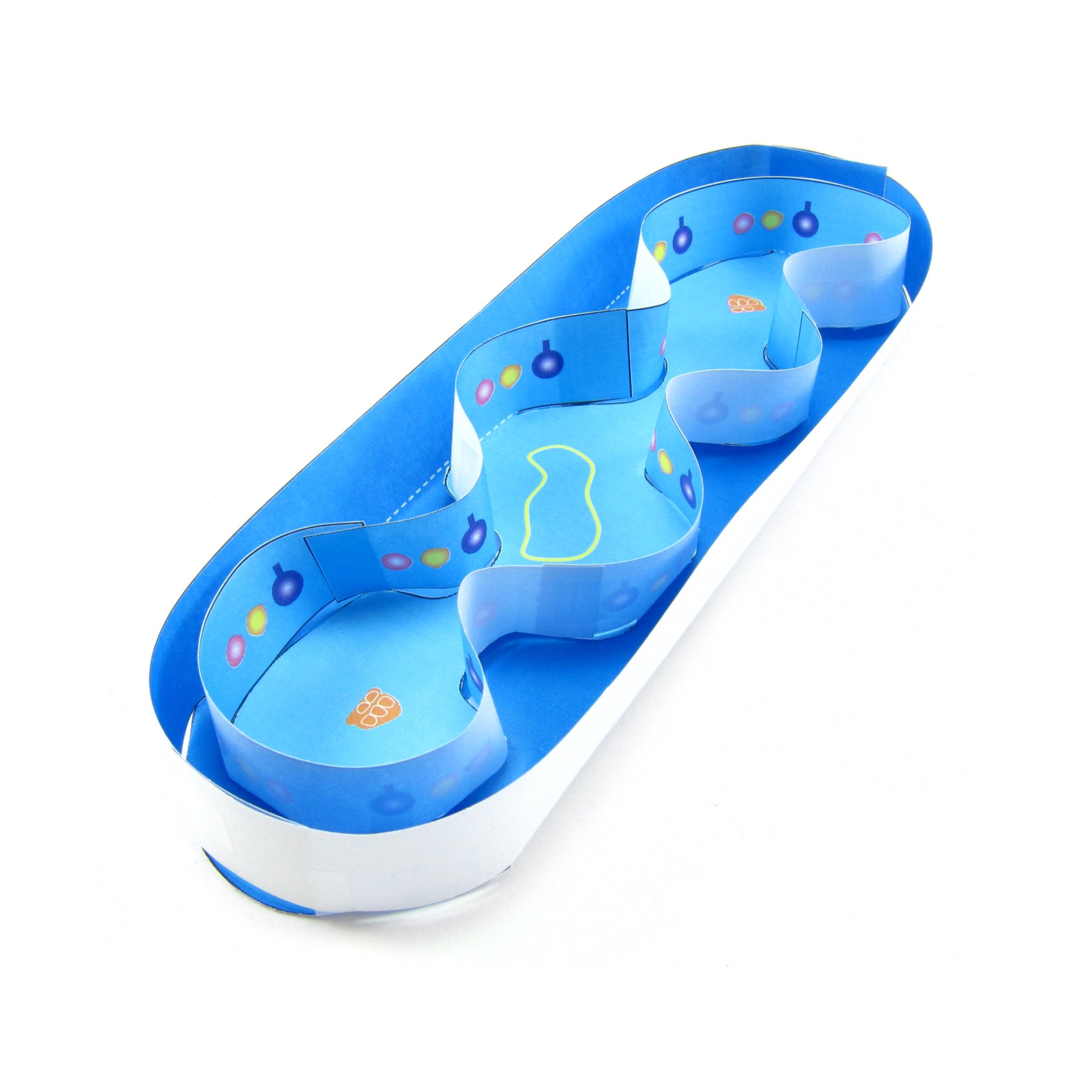 Mitochondria Model