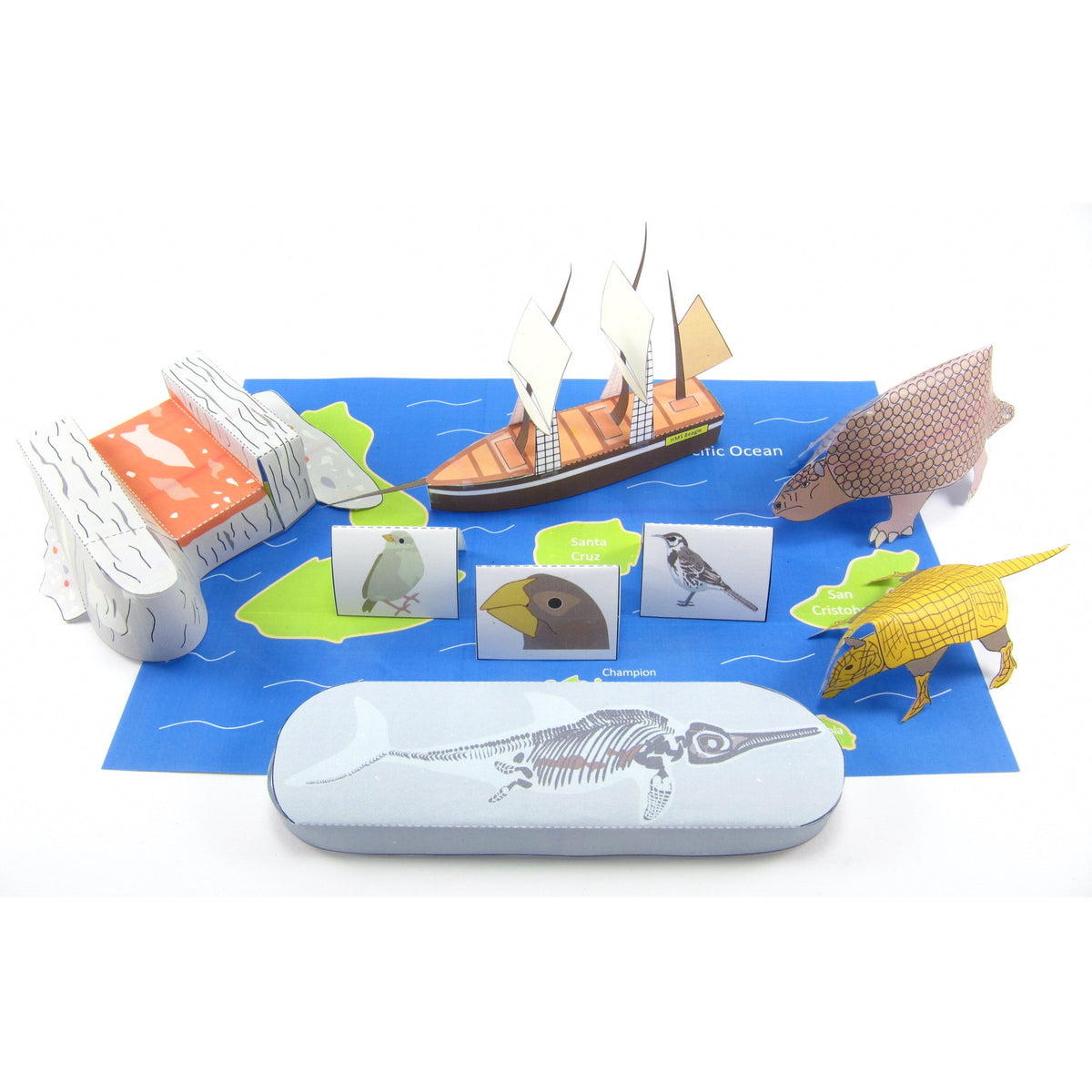 Evolution by Natural Selection – Origami Organelles