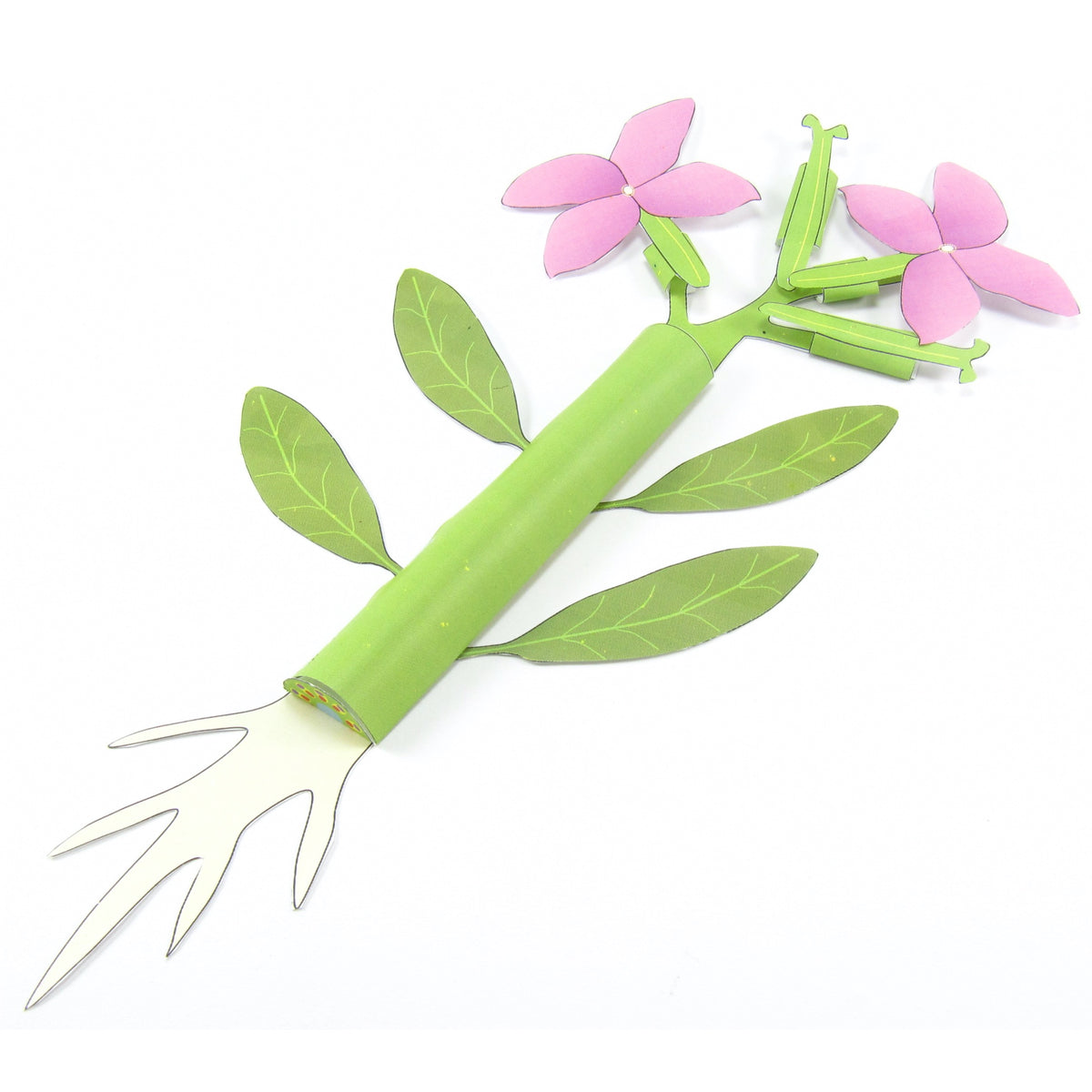 Parts of a Plant – Origami Organelles