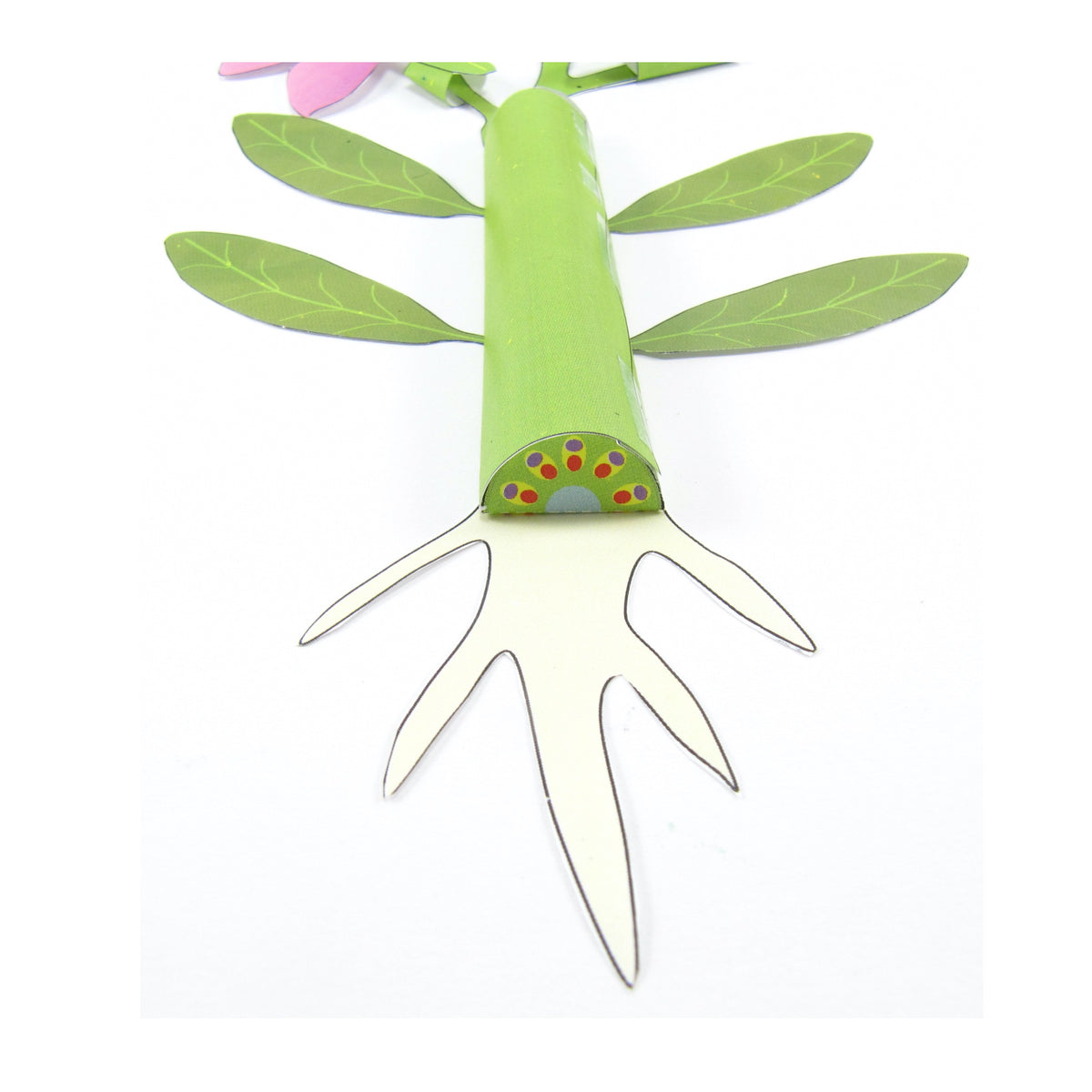 Parts of a Plant – Origami Organelles