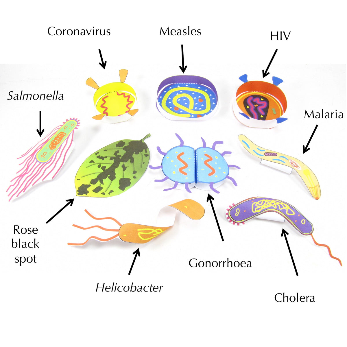 Pathogens – Origami Organelles