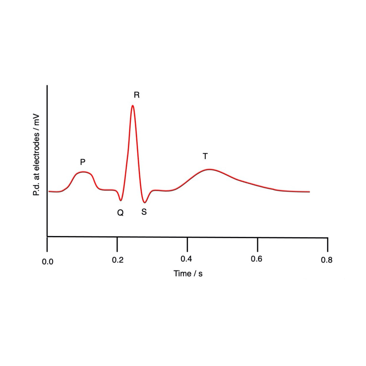 Physics of the Heart – Origami Organelles