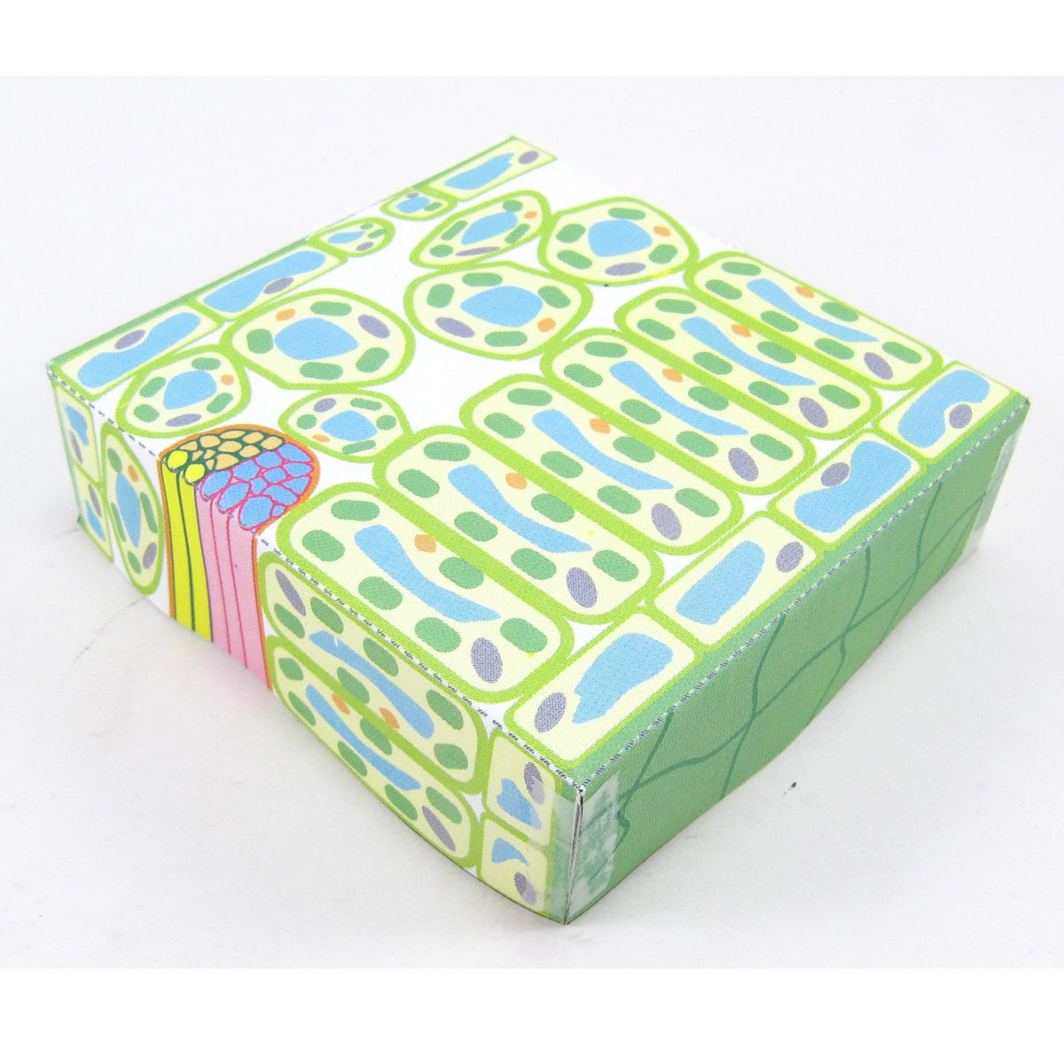 Plant Cell Organisation – Origami Organelles