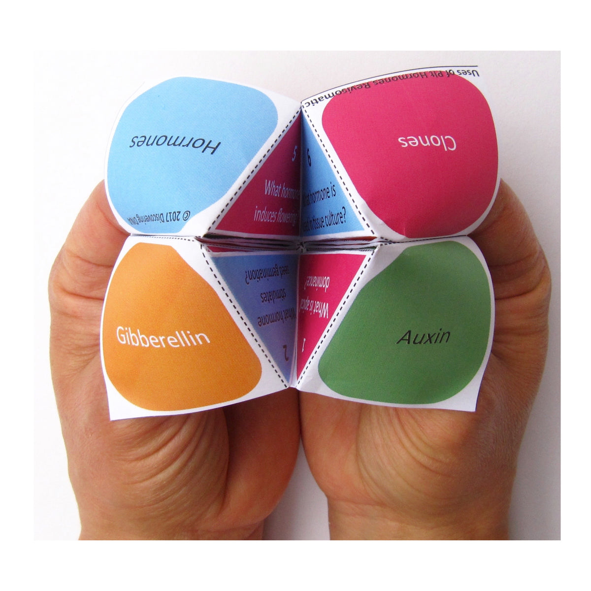 Nervous System Revisomatics – Origami Organelles