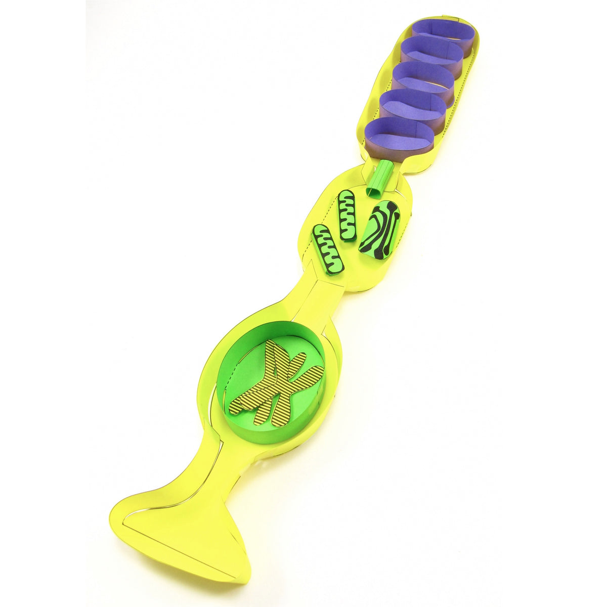 Rod Photoreceptor Cell – Origami Organelles