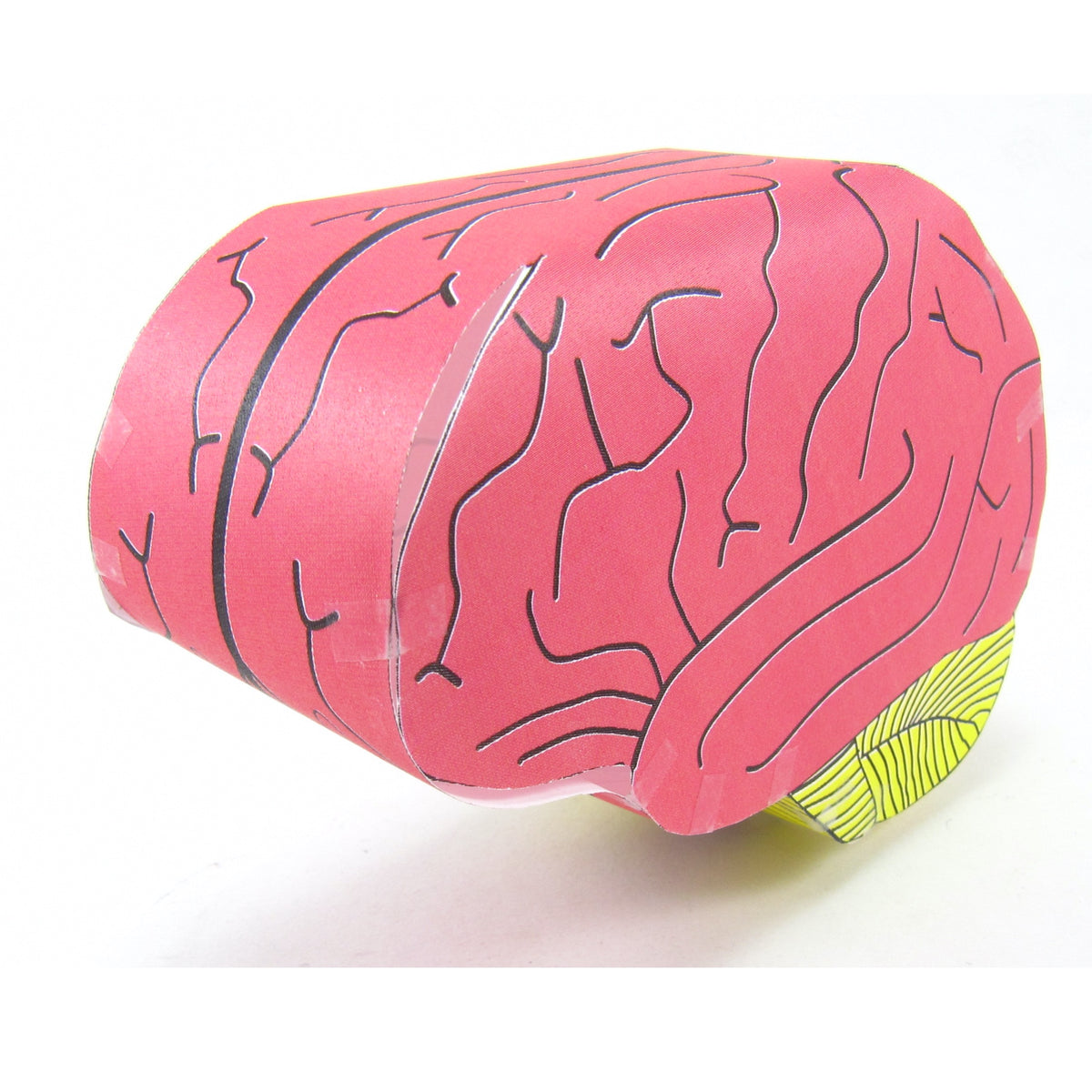 Simple Brain – Origami Organelles