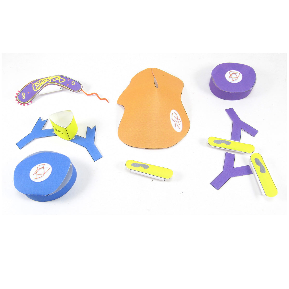 Simple Immune System – Origami Organelles