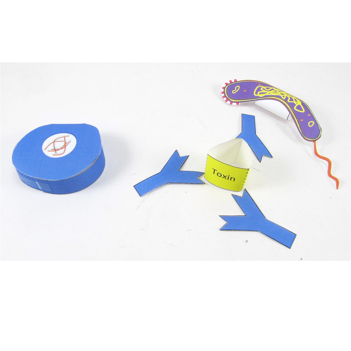Simple Immune System – Origami Organelles