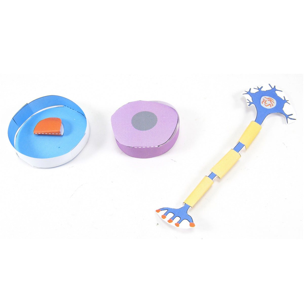 Simple Stem Cells – Origami Organelles