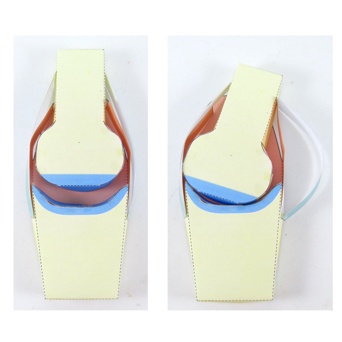 Synovial Joint – Origami Organelles